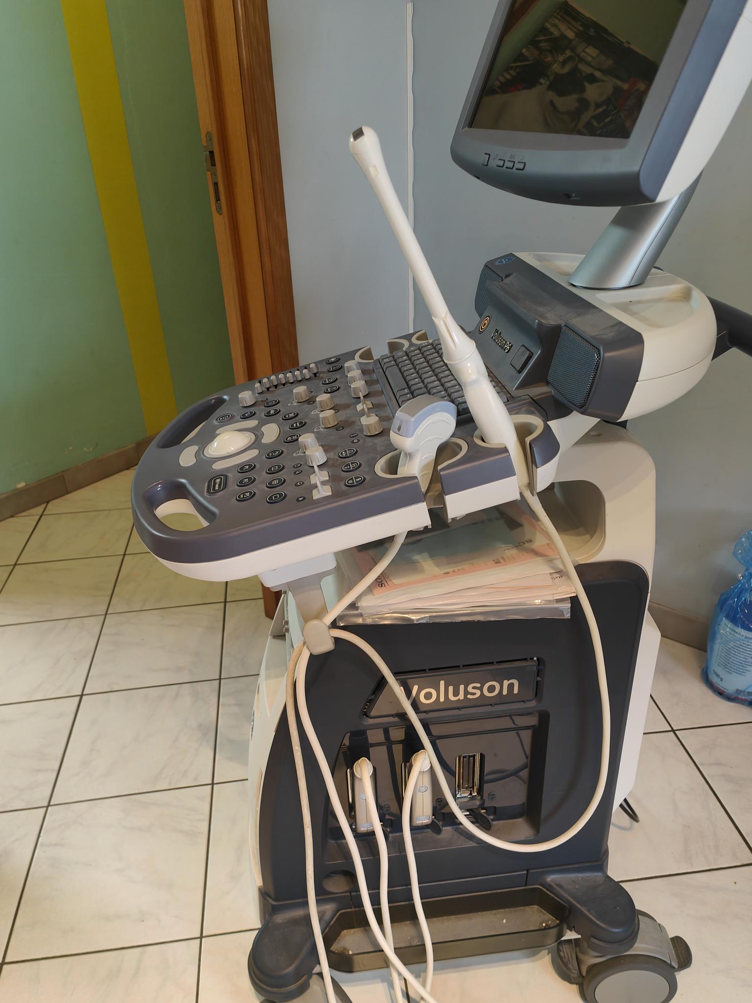 GE Voluson P6 | Veterinary - Echomedic